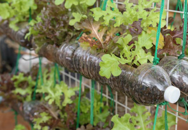 Recycling – OCRRA – Onondaga County Resource Recovery Agency